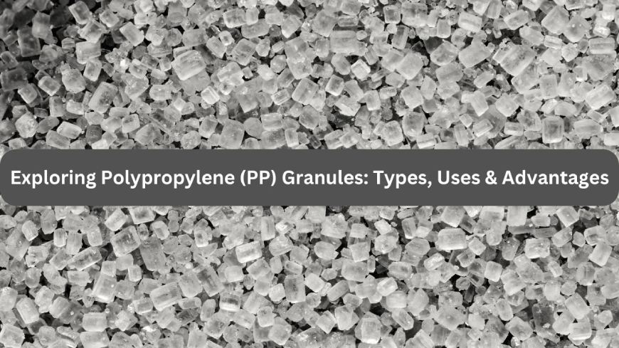 Exploring Polypropylene (PP) Granules: Types, Uses and Advantages | AVH ...